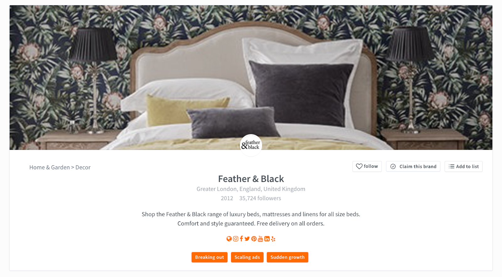 The Top 10 Fastest-Growing DTC Mattress Brands