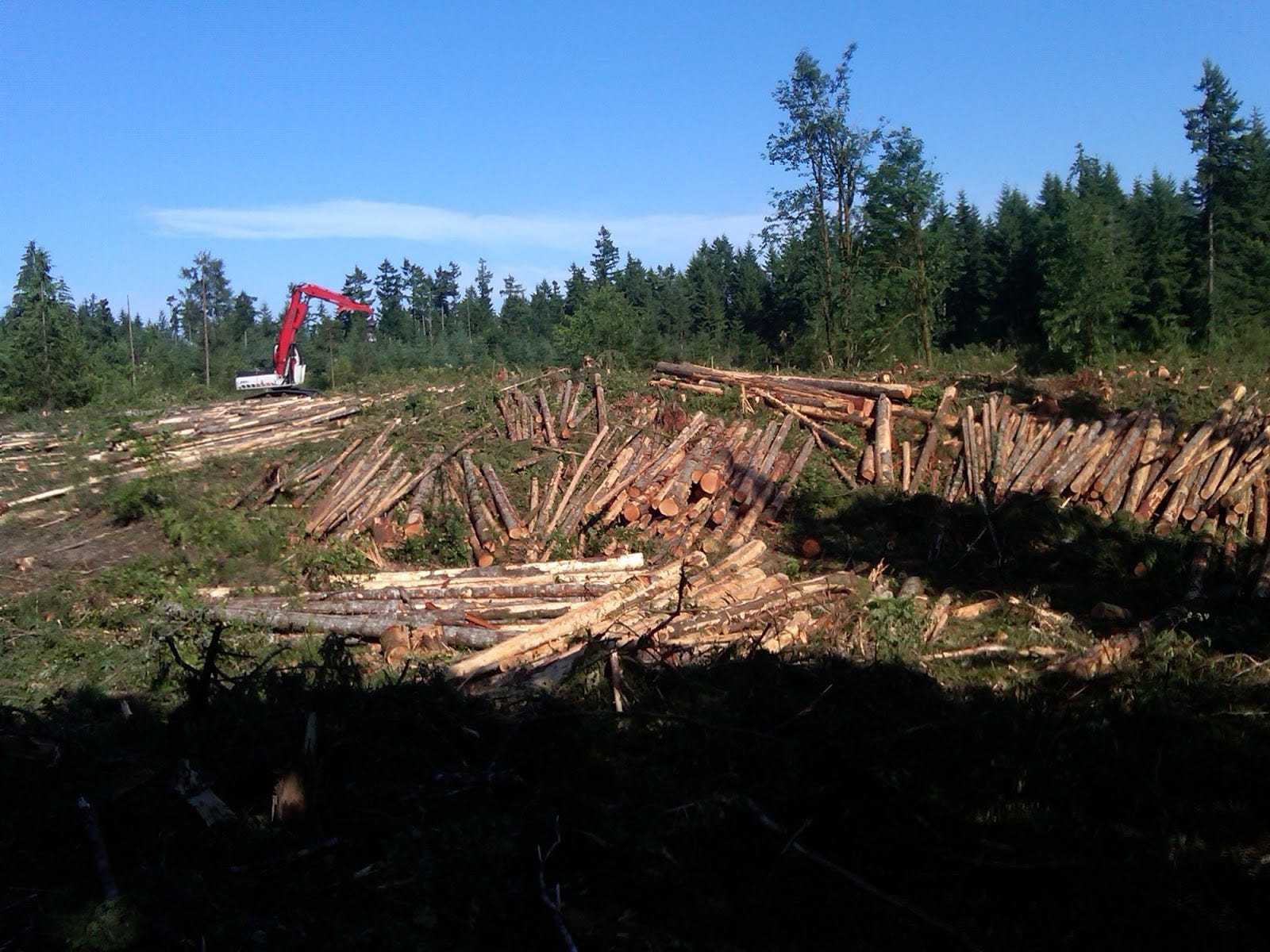 Deforestation in the Pacific NorthWest – Ian Olson – Medium