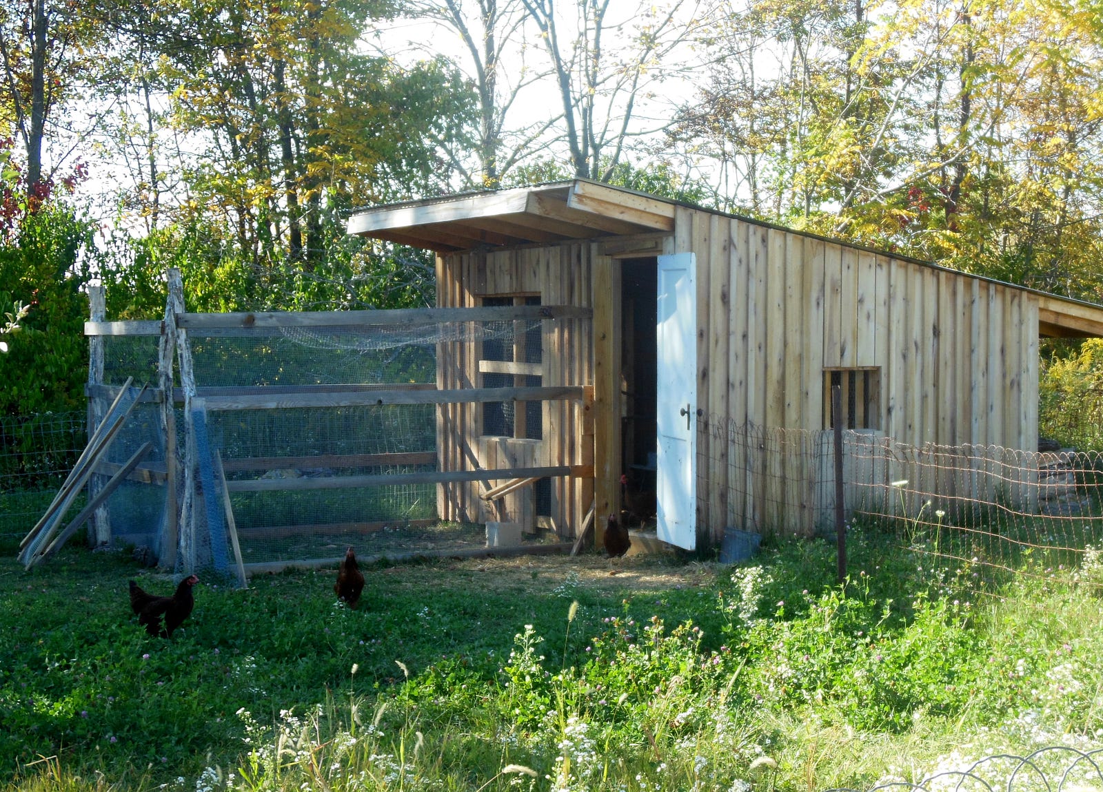 Historic Hen / Brooder Houses Shed-Style Roof (esp. 1930’s & 1940's)