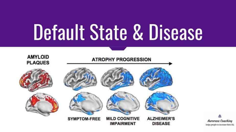 Default Mode Network of the Brain – Vunela