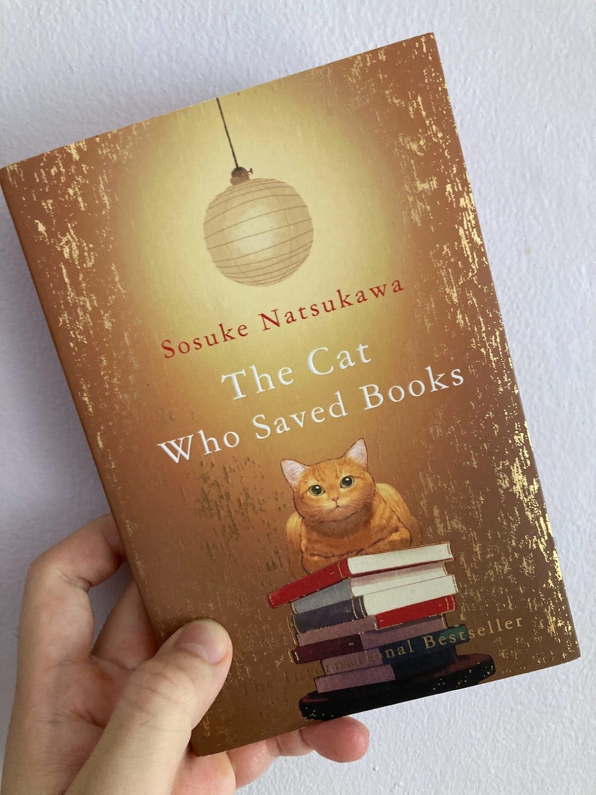 Book Review | From the Window Seat