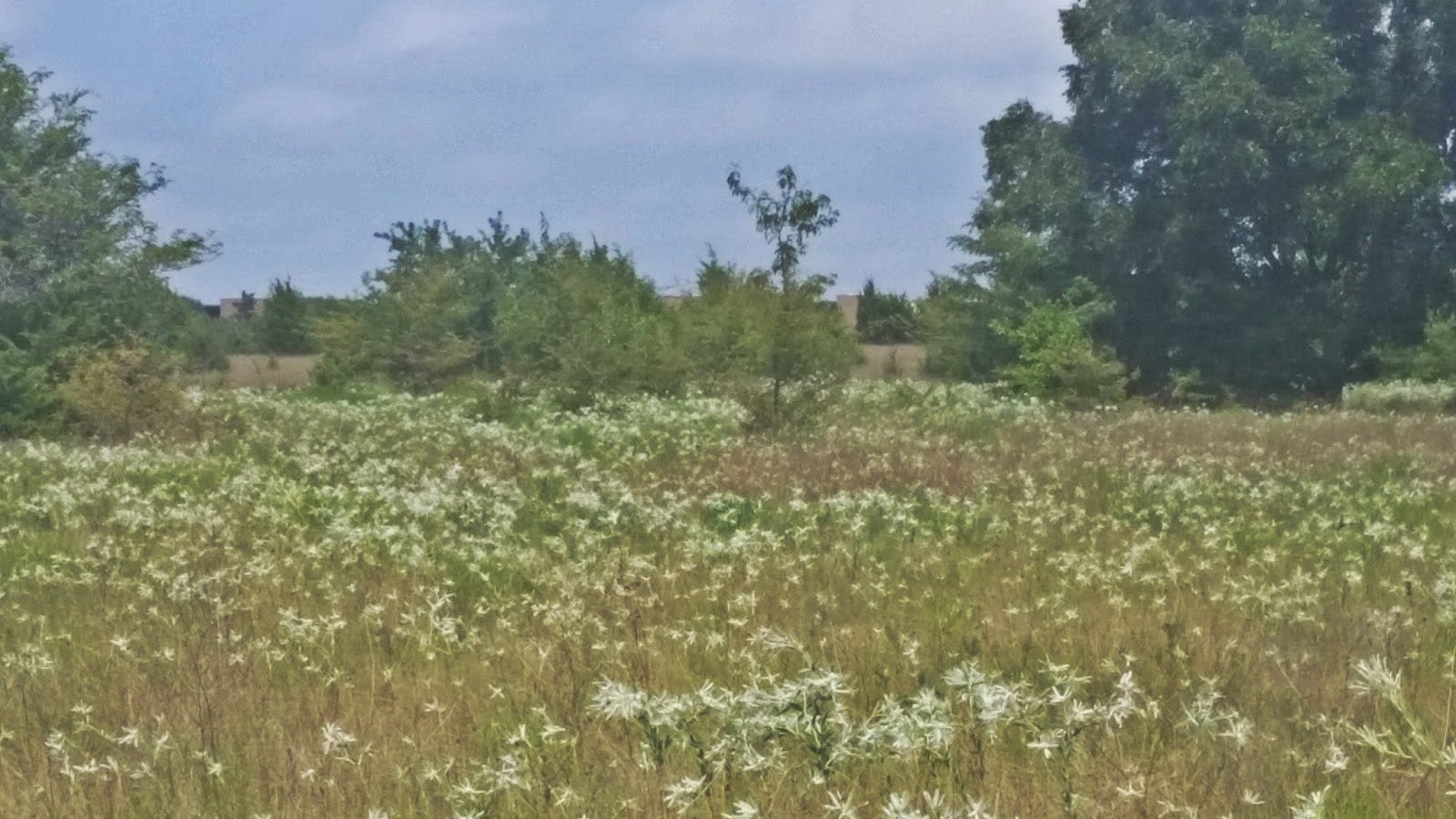 September Snow on the Prairie – Invironment – Medium