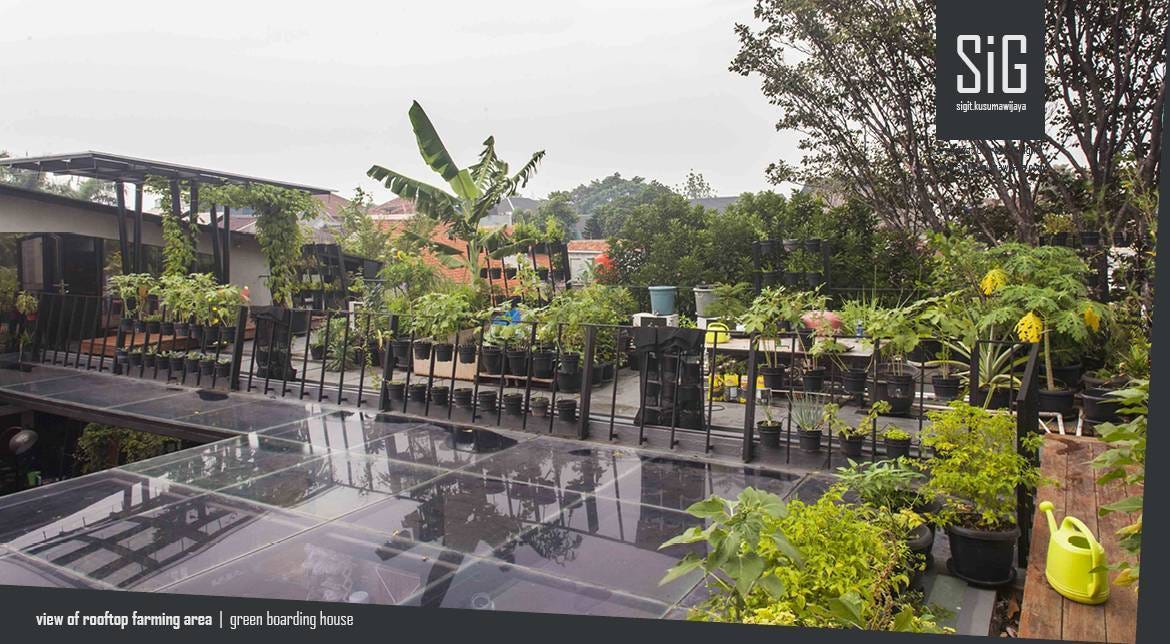 Bagaimana Cara Mendesain Taman Rumah Minimalis Di Atap (Rooftop Garden)