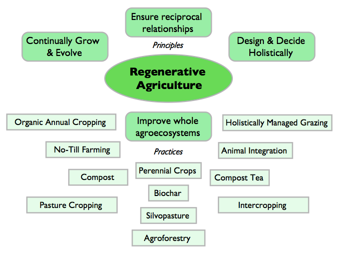 Regenerative Agriculture Redefined – Ethan Roland Soloviev – Medium