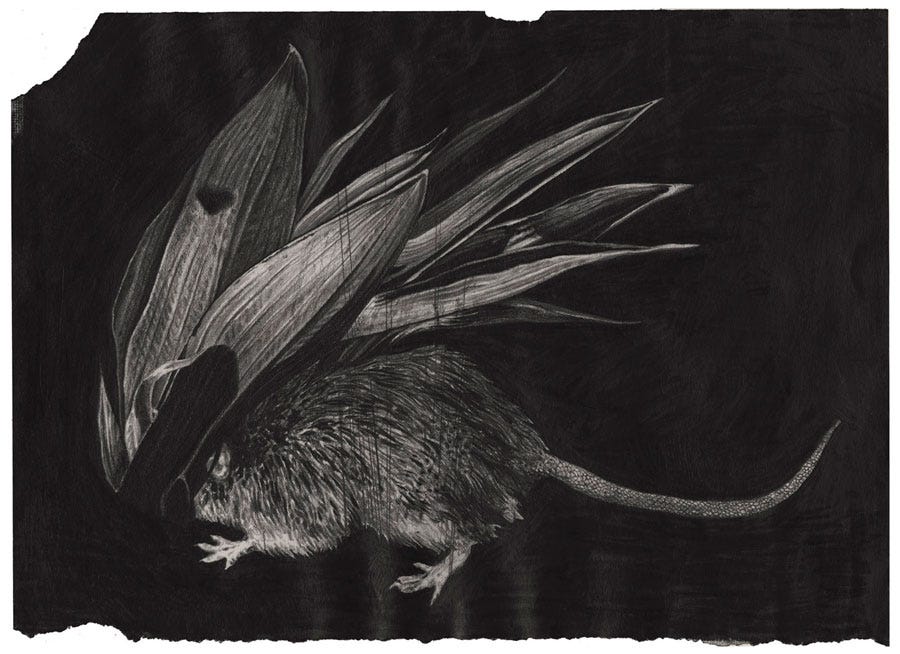Beautifully Unsettling Art Evoking Monsters and Myth