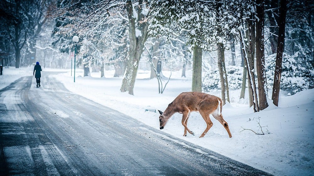 20 Breathtaking Photos of Icy Winter Landscapes – Chris Blagden – Medium