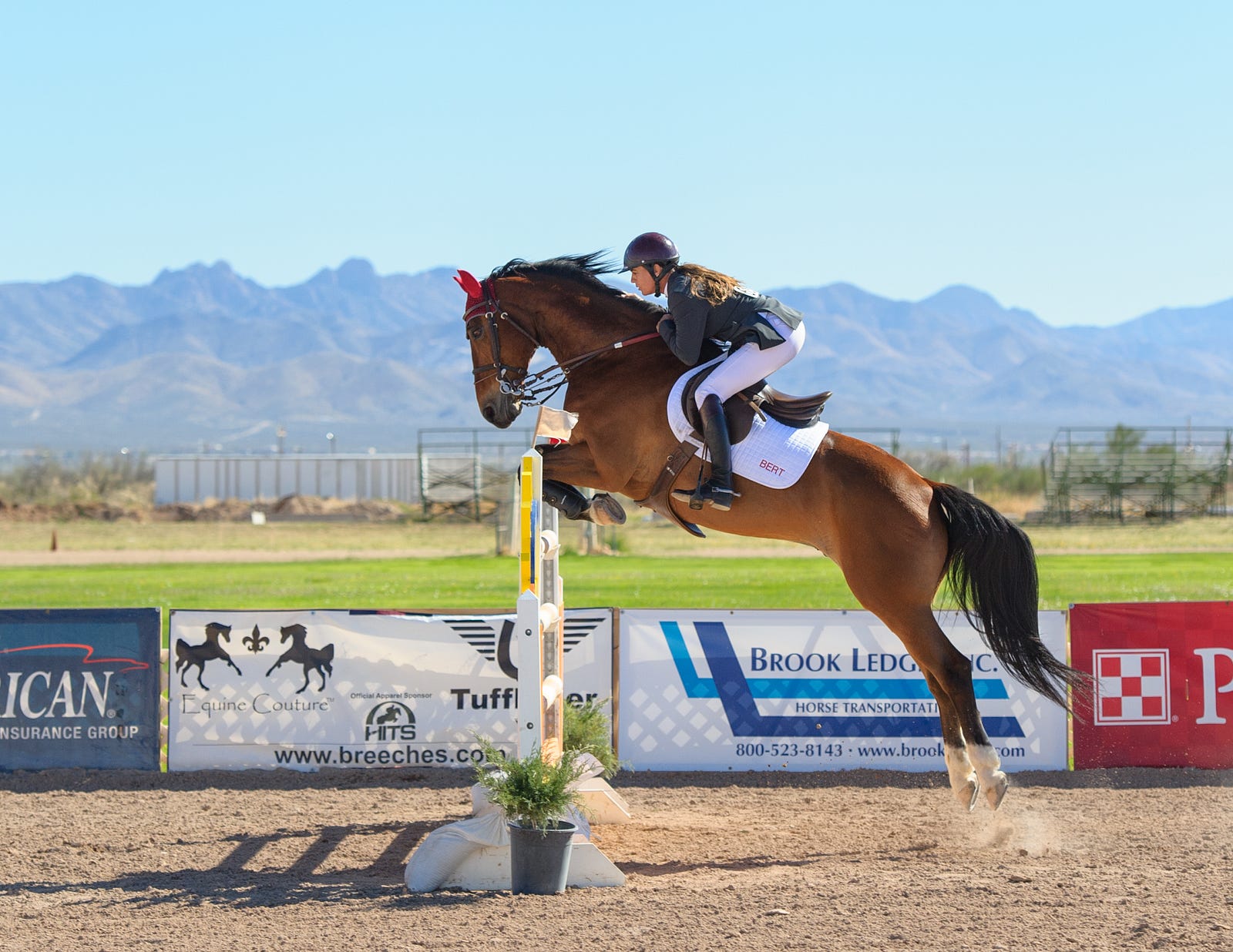 7 Rules for Life: Trust and the Double Oxer – Jennifer Marie Kerner ...