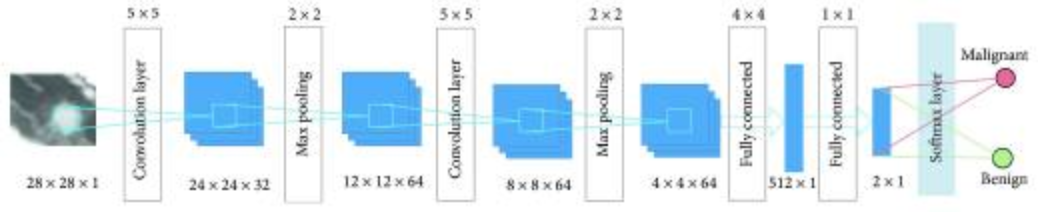 It’s Chest Day: Uses of Deep Learning In Chest Abnormality Detection