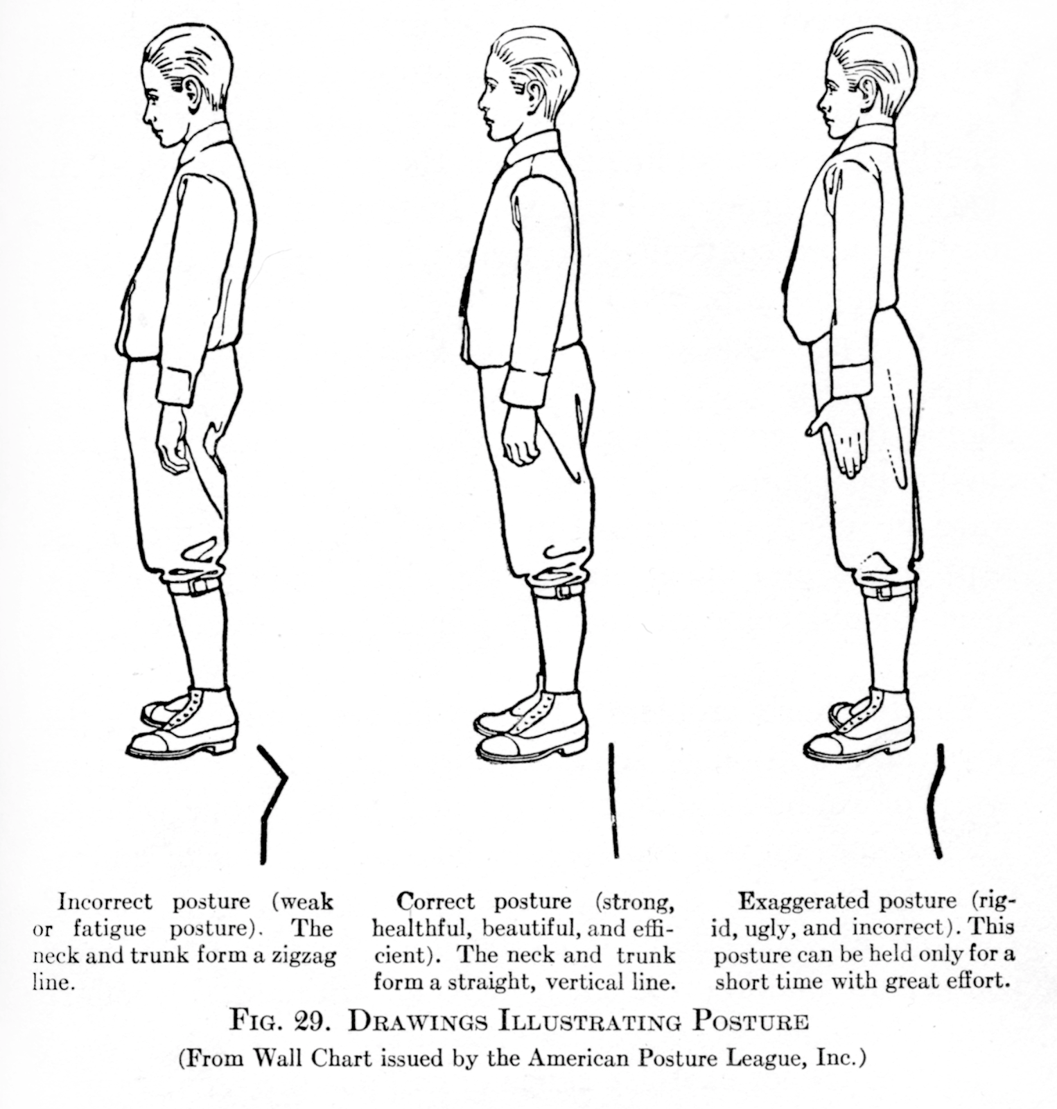 Upright and uptight: the invention of posture – Tom Jesson – Medium