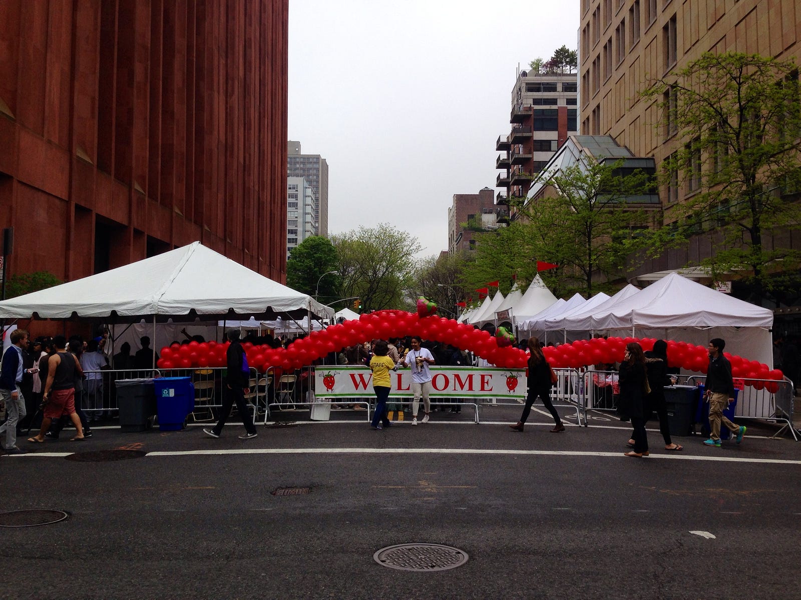 Strawberry Festival Forever – NYU Local