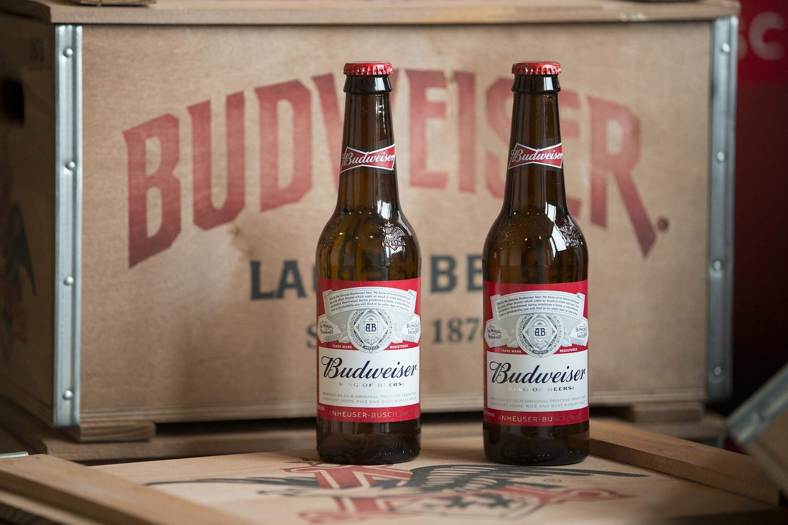 Checkout These 23 Best Beer Brands In India Under The Budget Of ₹200