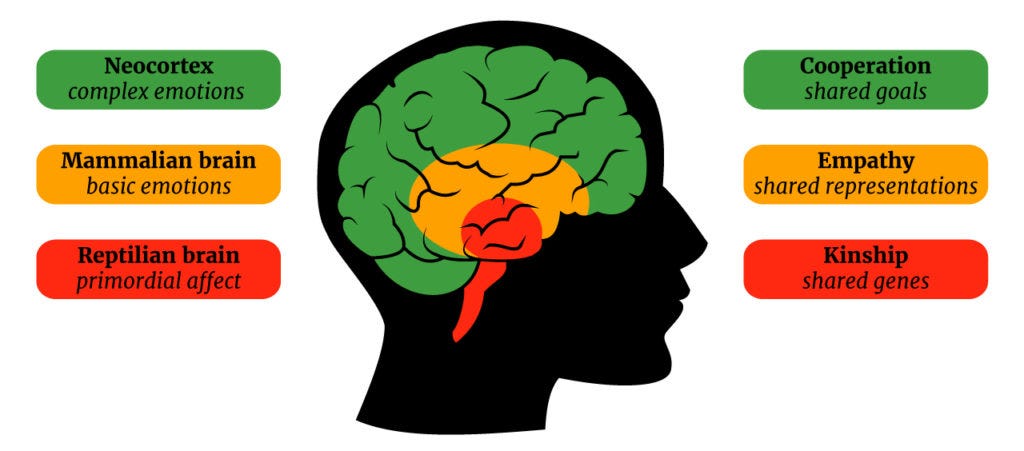 The Triune Brain: Evolutionary Foundations for Human Goodness