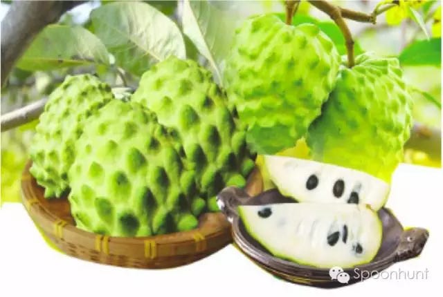 12 Specialty Fruits 水果 All Across China – Spoonhunt – Medium