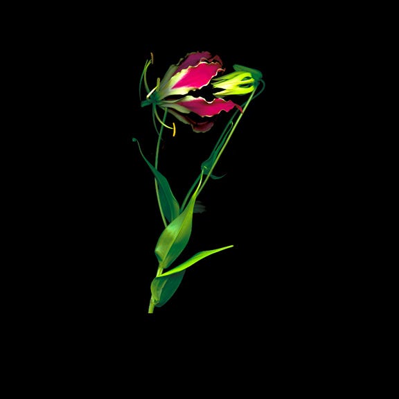Scanography (part one) – SCANOGRAPHY (photography with a scanner) – Medium