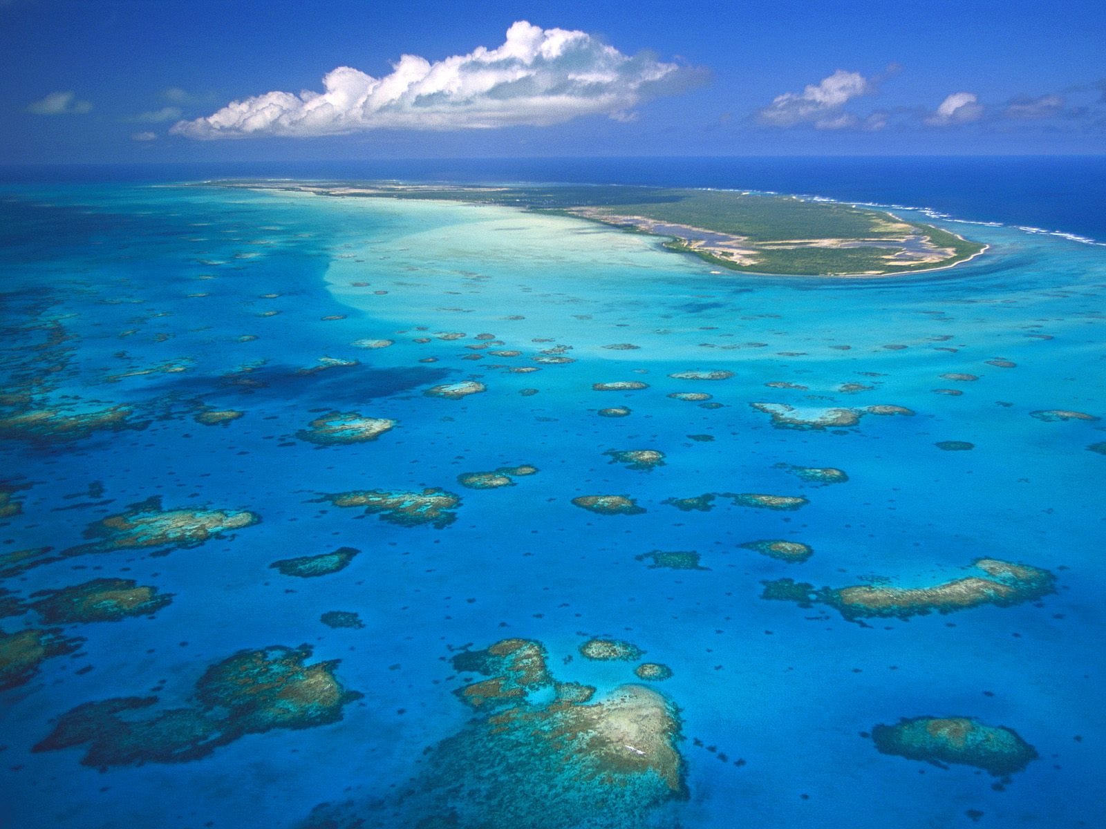 15 Interesting Facts About Caribbean Island – Wahji Paaji – Medium