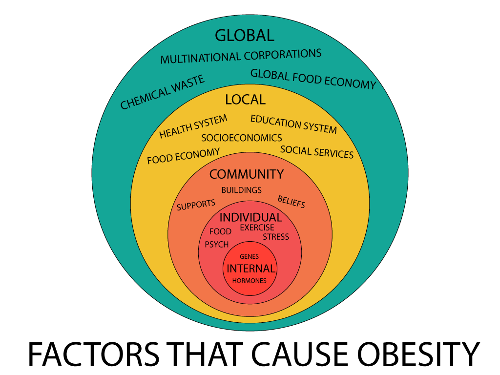 Obesity as Illness – Health & Medicine – Medium