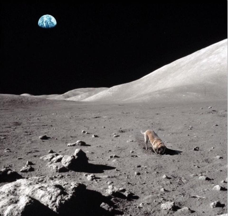Sorry, Internet, Some Of Your Favorite Space Pictures Are Fakes