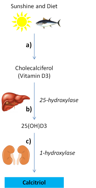 THE VITAMIN D CRISIS IN END-STAGE RENAL DISEASE – Nutrisphere – Medium