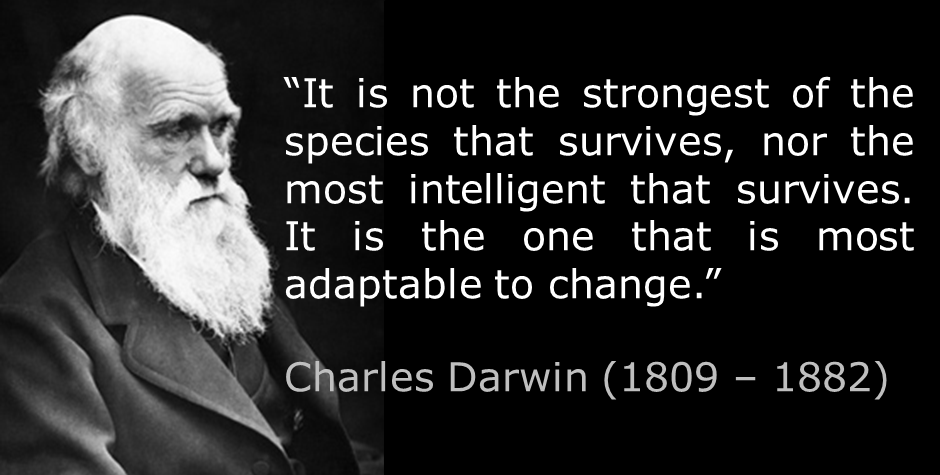 Adapt or die: Inspiration comes in different ways. – Carson McKee – Medium