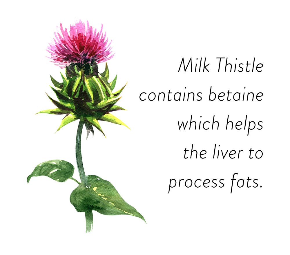 Thistle Quotes