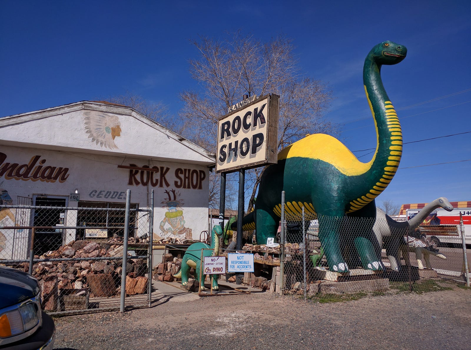 # 61 Rainbow Rock Shop Route 66 – Odyssey Of Vitality – Medium
