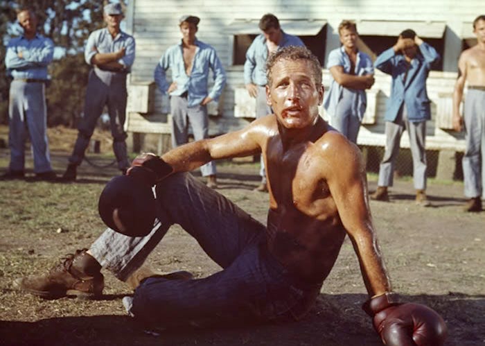 Script To Screen: “Cool Hand Luke” – Go Into The Story