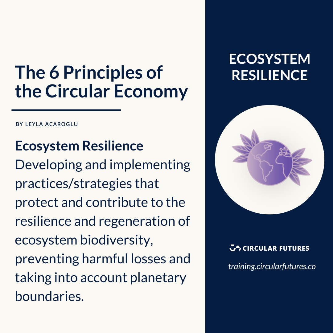The 6 Principles of the Circular Economy - Circular Futures