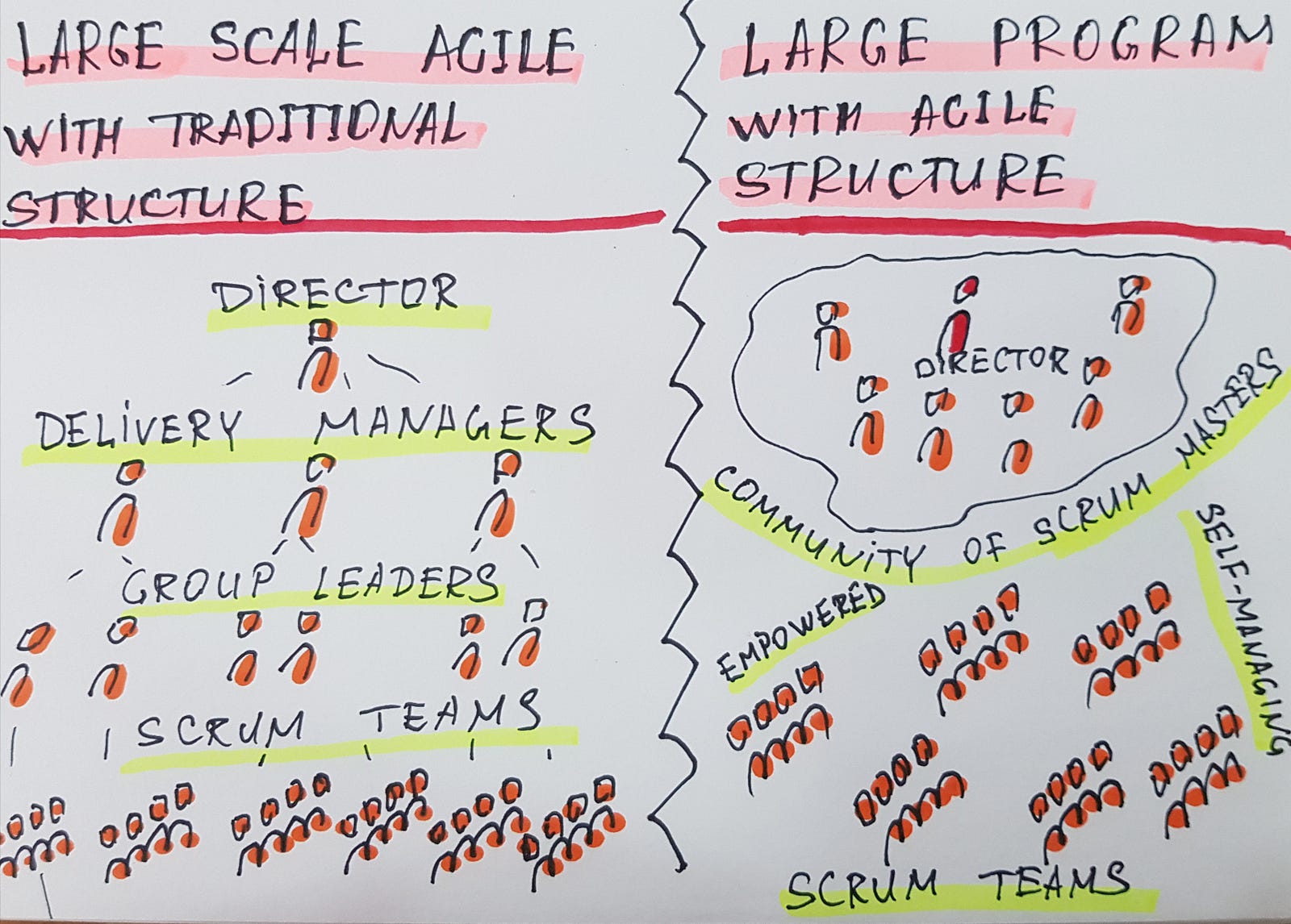 Scaling The Role of a Scrum Master – PALOIT – Medium