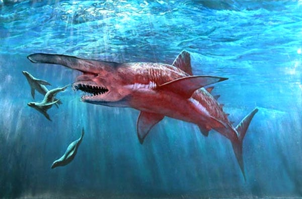 10 Rare and Weird Deep Ocean Fish – Rolif Refo – Medium