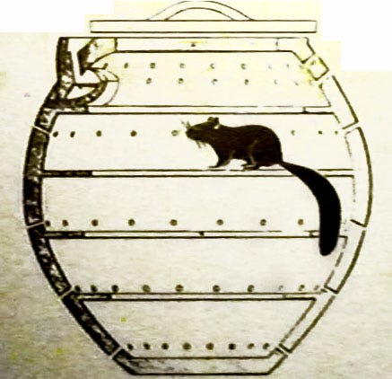 Ancient Rome: Non-stick Cookware and Honey-Dipped Dormice