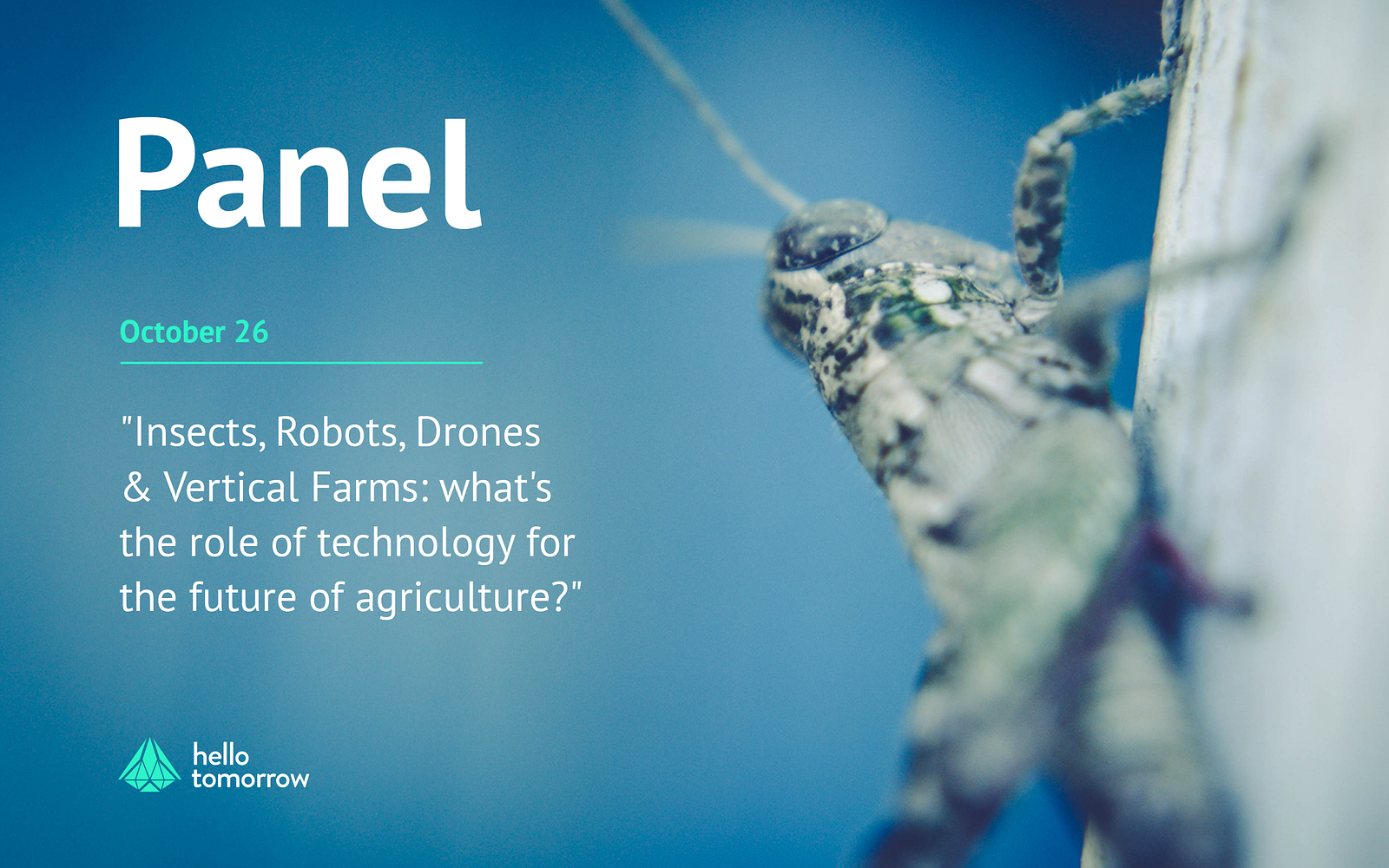 Robotic insects eating microalgaes produced on vertical farms… What’s ...