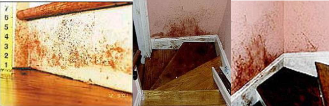 Death on the staircase – Torrin Wilkins – Medium