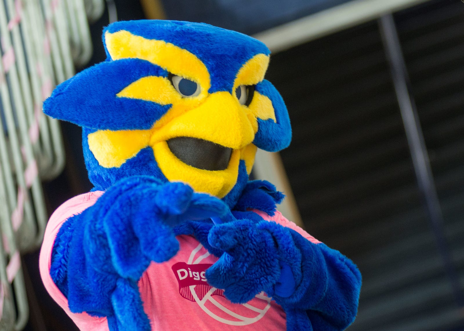 You know you’re a Blugold when… Summer Edition – Why UW-Eau Claire ...