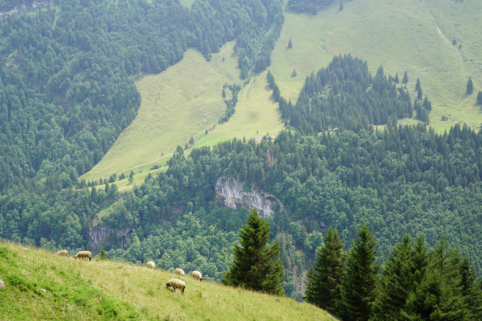 Switzerland: Searching for Heidi in the Swiss Alps – Via Vida – Medium