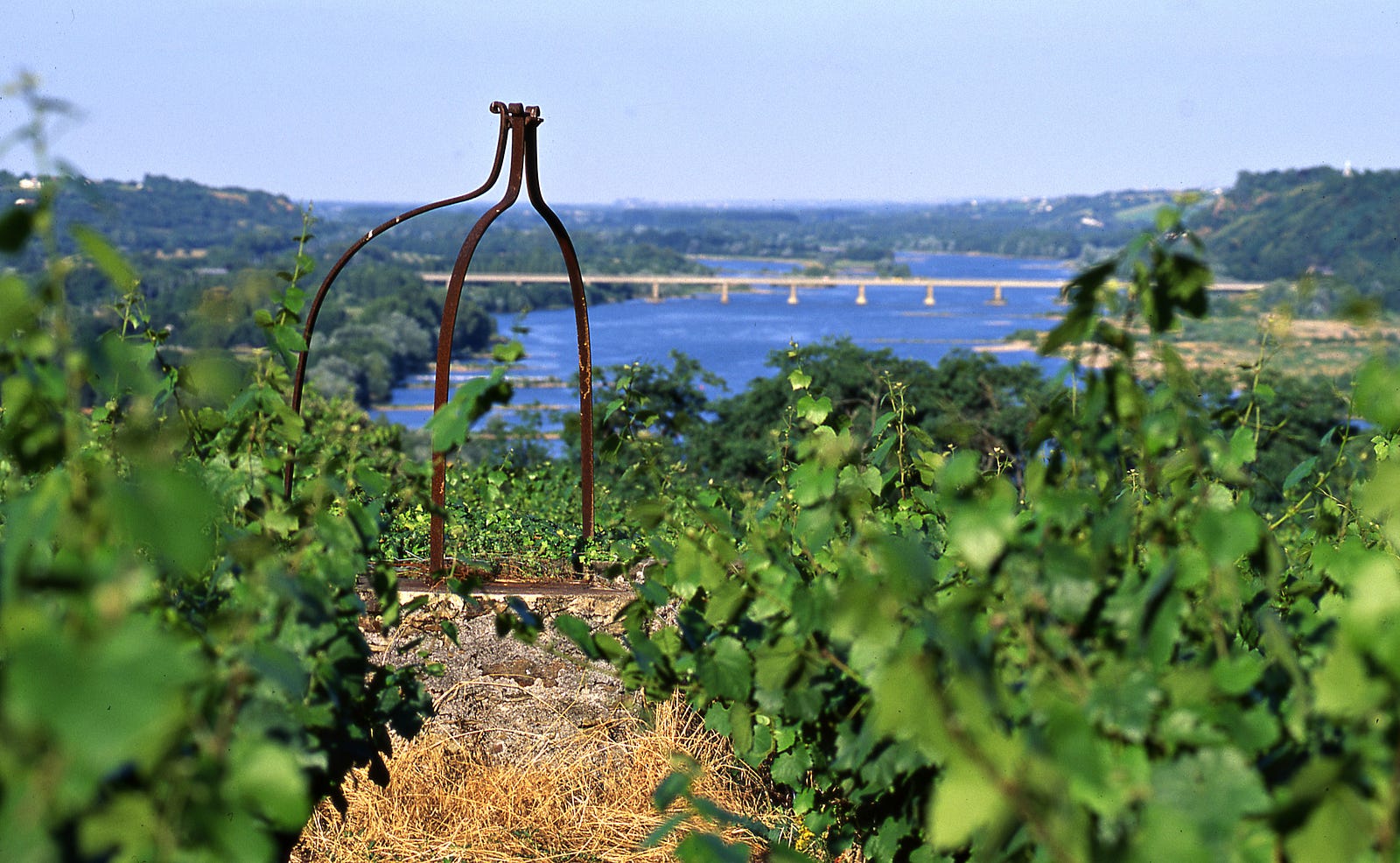 La filière viticole à l’échelle du Val de Loire : qui fait quoi