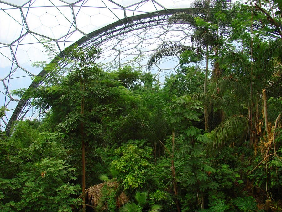 Biomimetic architecture – Age of Awareness – Medium