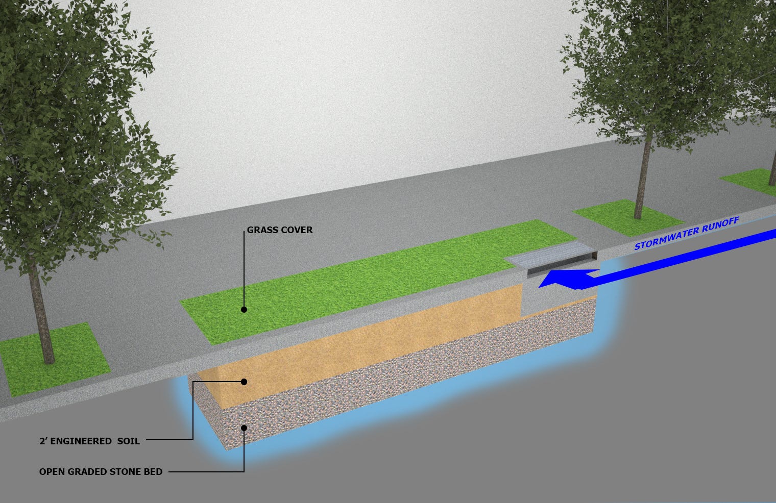 More Rain Gardens to Choose From – NYC Water – Medium