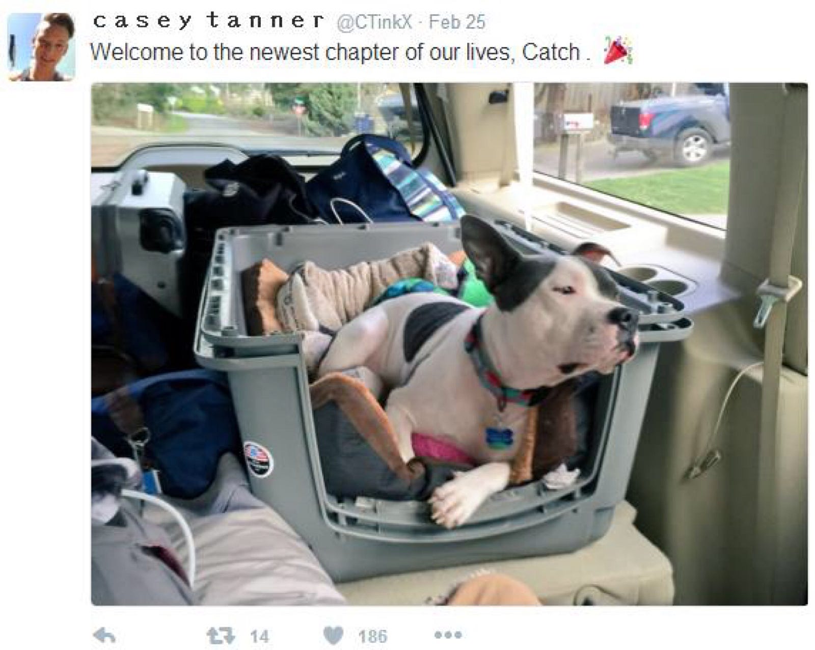 The Most Perfect Couple In My Heart : Blake Mitchell & Casey Tanner