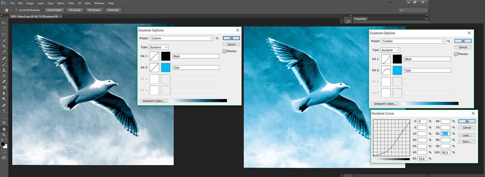 Duotone: Great Design Solutions That Fit Any Budget
