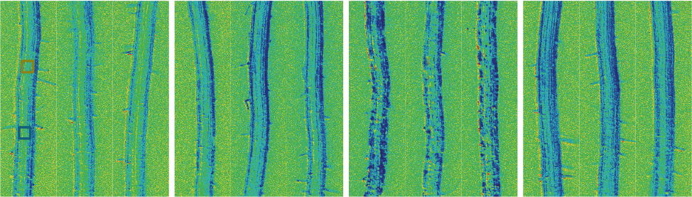 Plants show when and where they’re stressed – Roots and Shoots – Medium