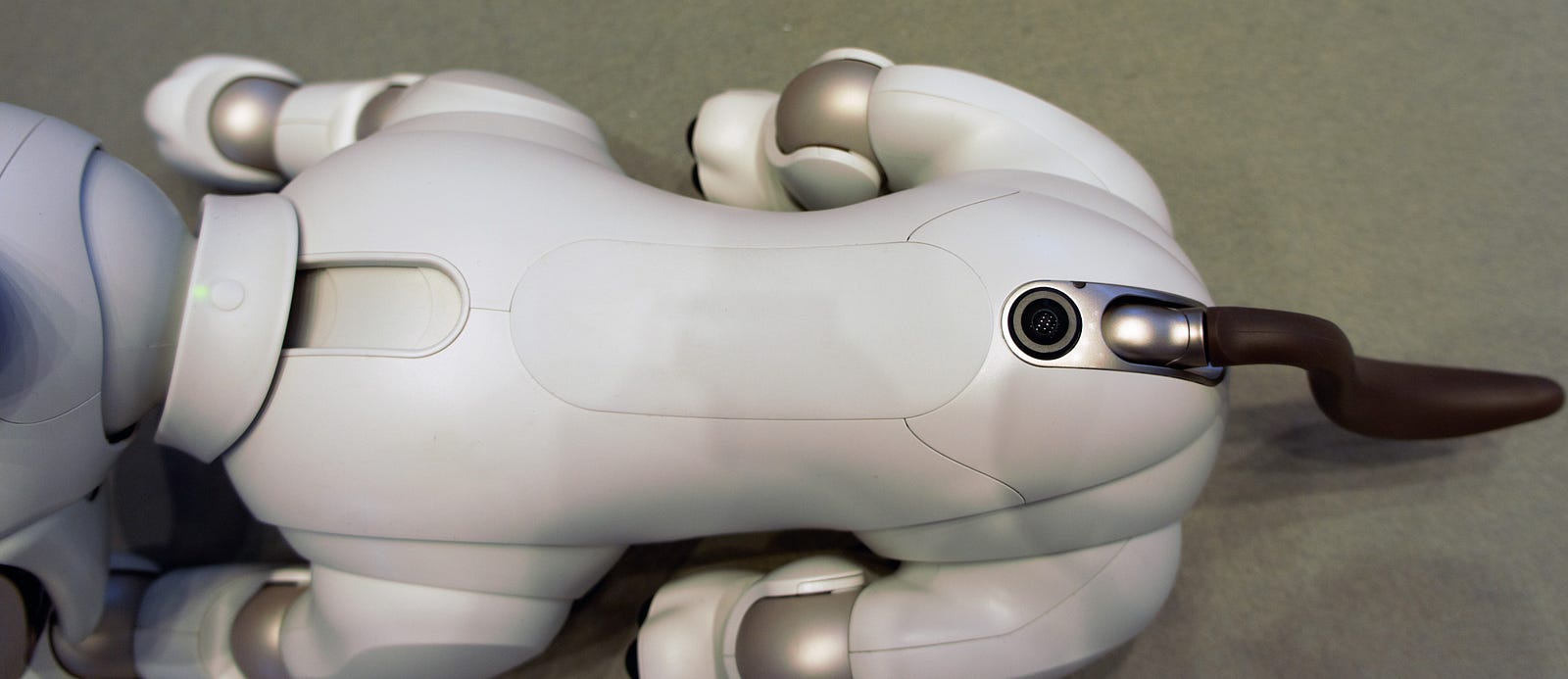 Sony AIBO finally returns to the U.S., but it’s one expensive pup