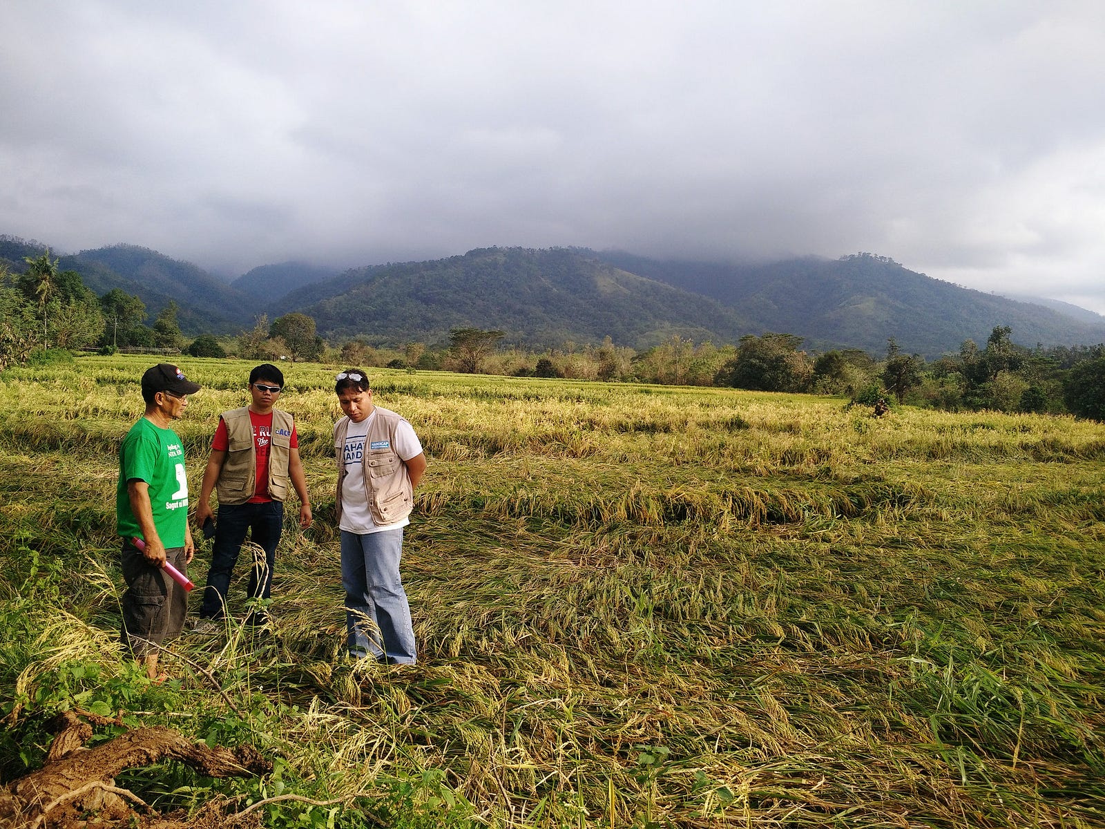 Typhoon Haima: building resilience to disasters in the Philippines