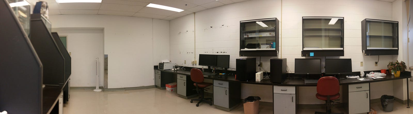 A dry lab is a wet lab is a lab – Timothée Poisot – Medium