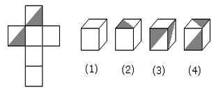 Tips on Logical Reasoning Test on Dice, Cube & Cuboid
