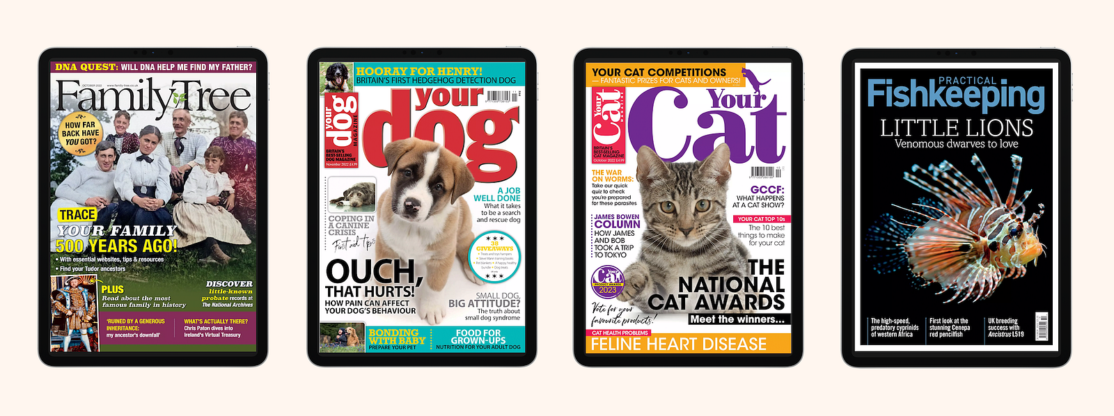 Warners’ new Practical Fishkeeping and Your Cat Memberships - Exact ...