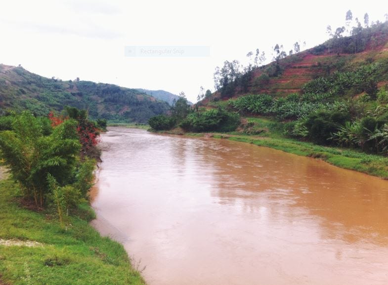 Who Will Save Rwanda’s Lifeline — The 300 Km Nyabarongo River Ecosystem