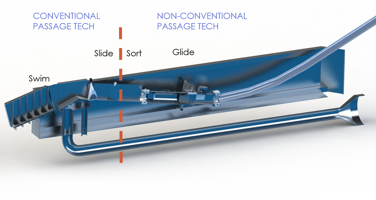 Hydropower Tech: Unlocking the Potential of the WHOOSHH™ Fish Transport ...