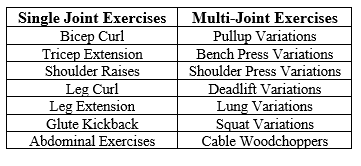 Exercise Selection for Increased Muscle Mass & Body Composition