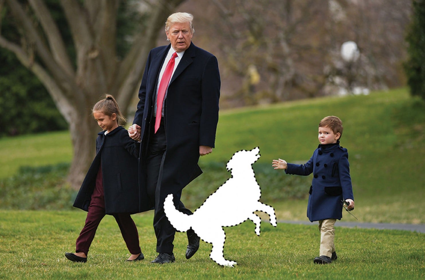 The Very Best Dogs of the Trump White House Rated. – Chaco Daniel – Medium