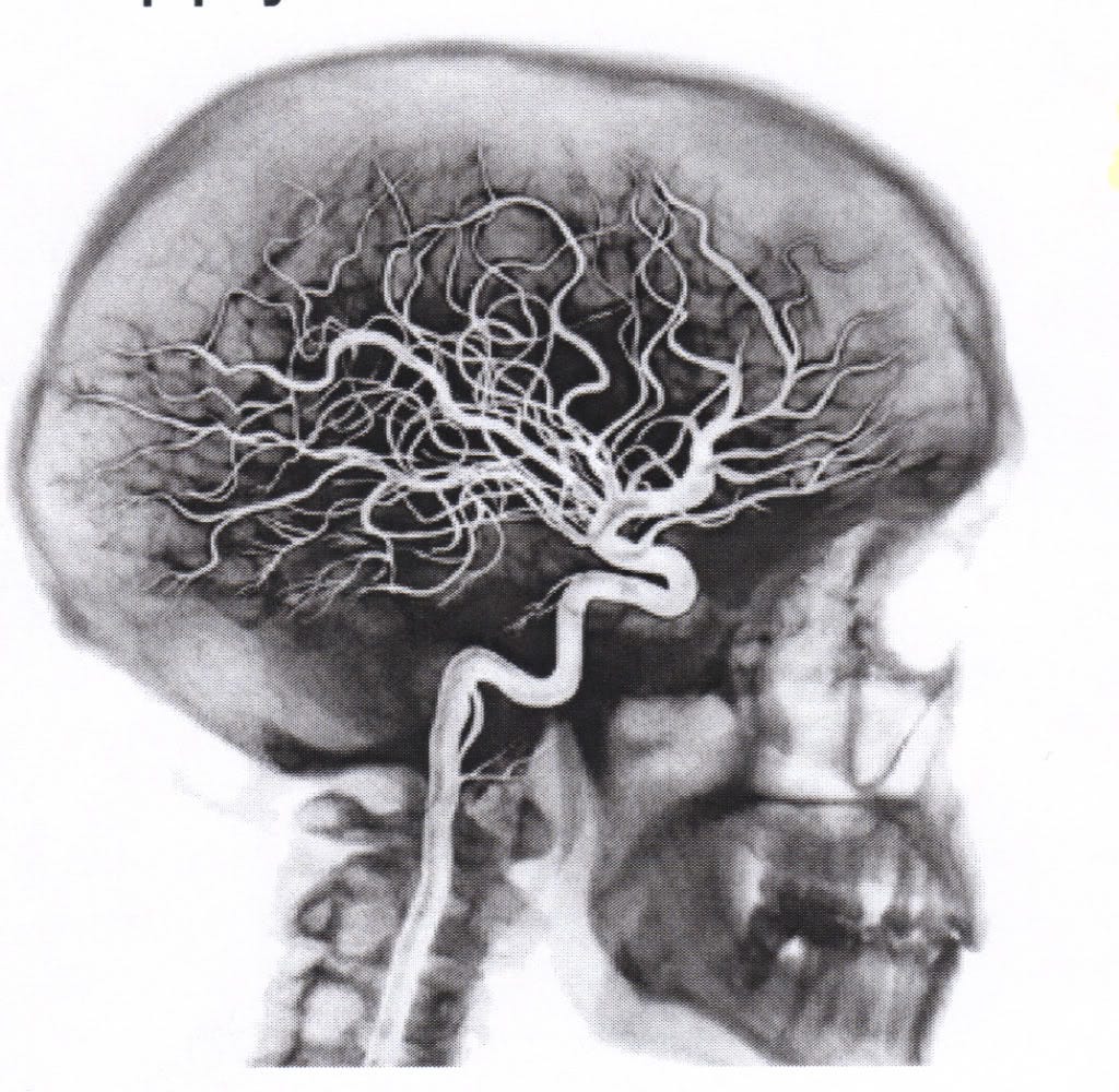 Interview With A Neurosurgeon – The Pivot – Medium